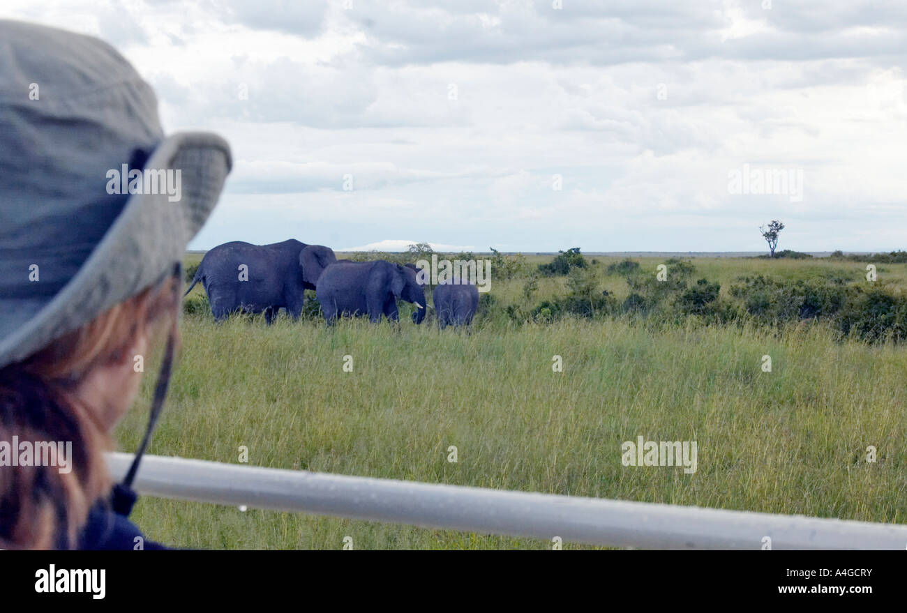 A tourist on a safari watching elephants in the distance in Kenya Stock ...