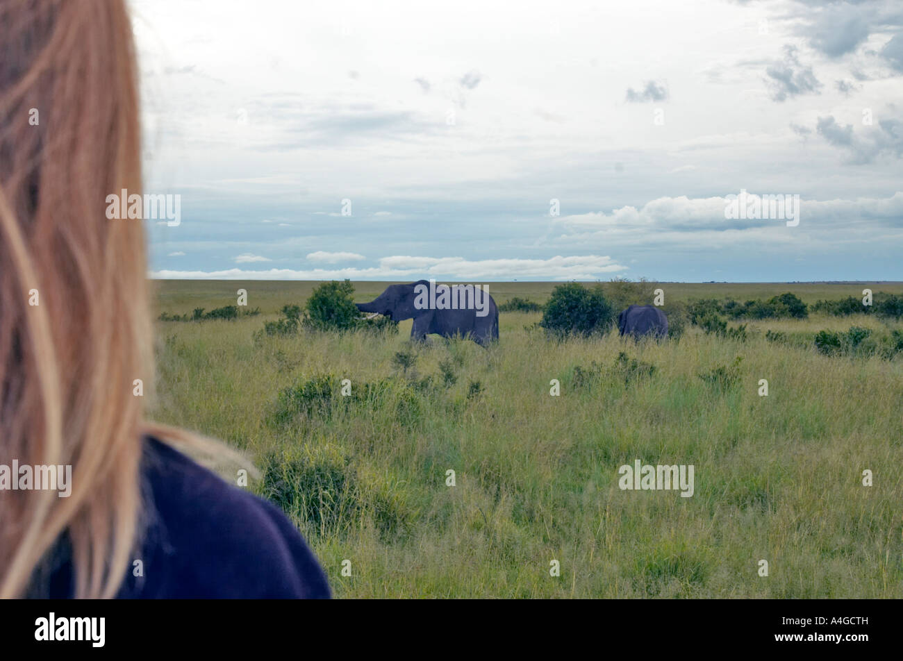 A tourist on a safari watching elephants in the distance in Kenya Stock ...