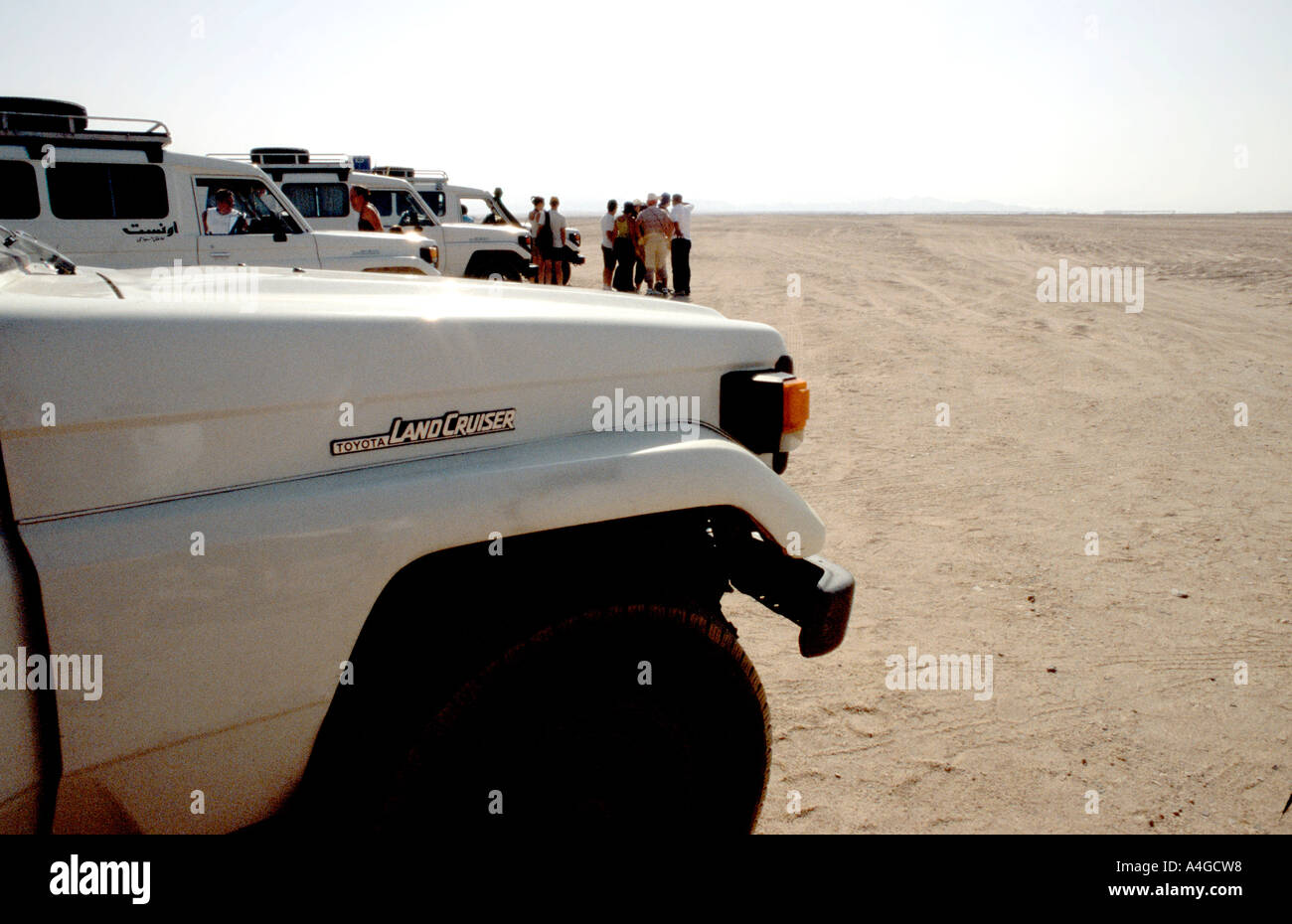 4WD jeeps ready line up ready to go into the desert Egypt Stock Photo ...
