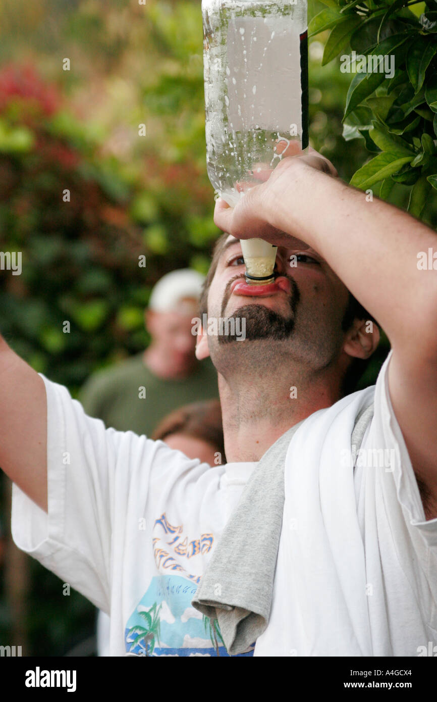 American malt liquor beer hi-res stock photography and images - Alamy