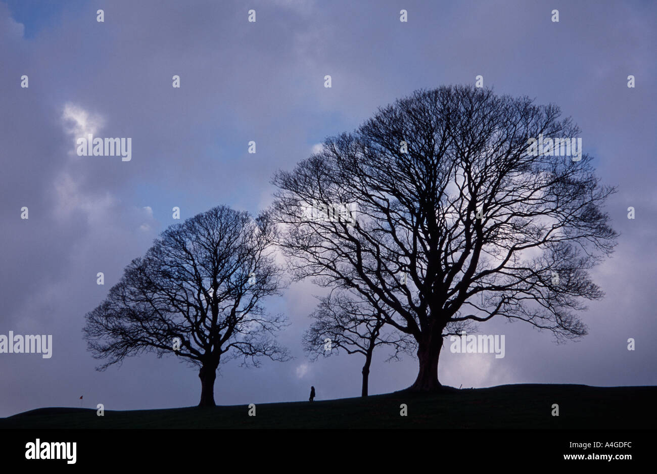 Winter on the Approach Golf Course Bath Spa, Somerset, England UK Stock ...