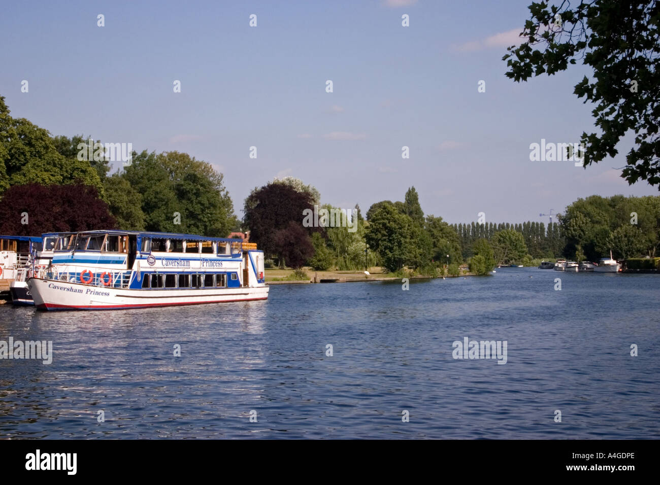Berkshire the princess hi-res stock photography and images - Alamy