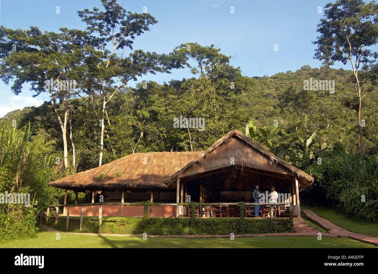 Portrait of the Gorilla Camp lodge in Uganda Stock Photo - Alamy
