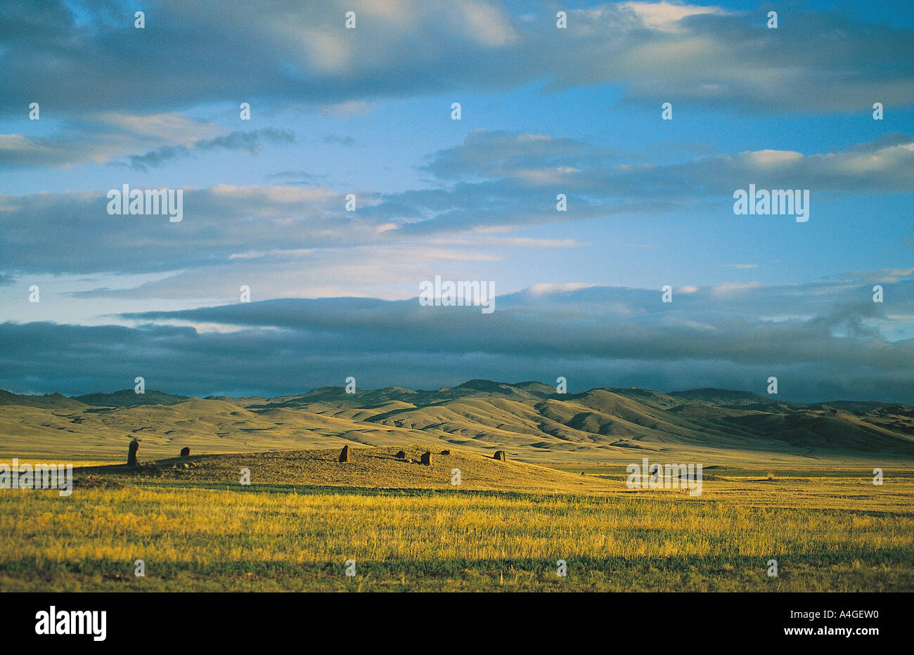 Mammal Of Russian Steppe