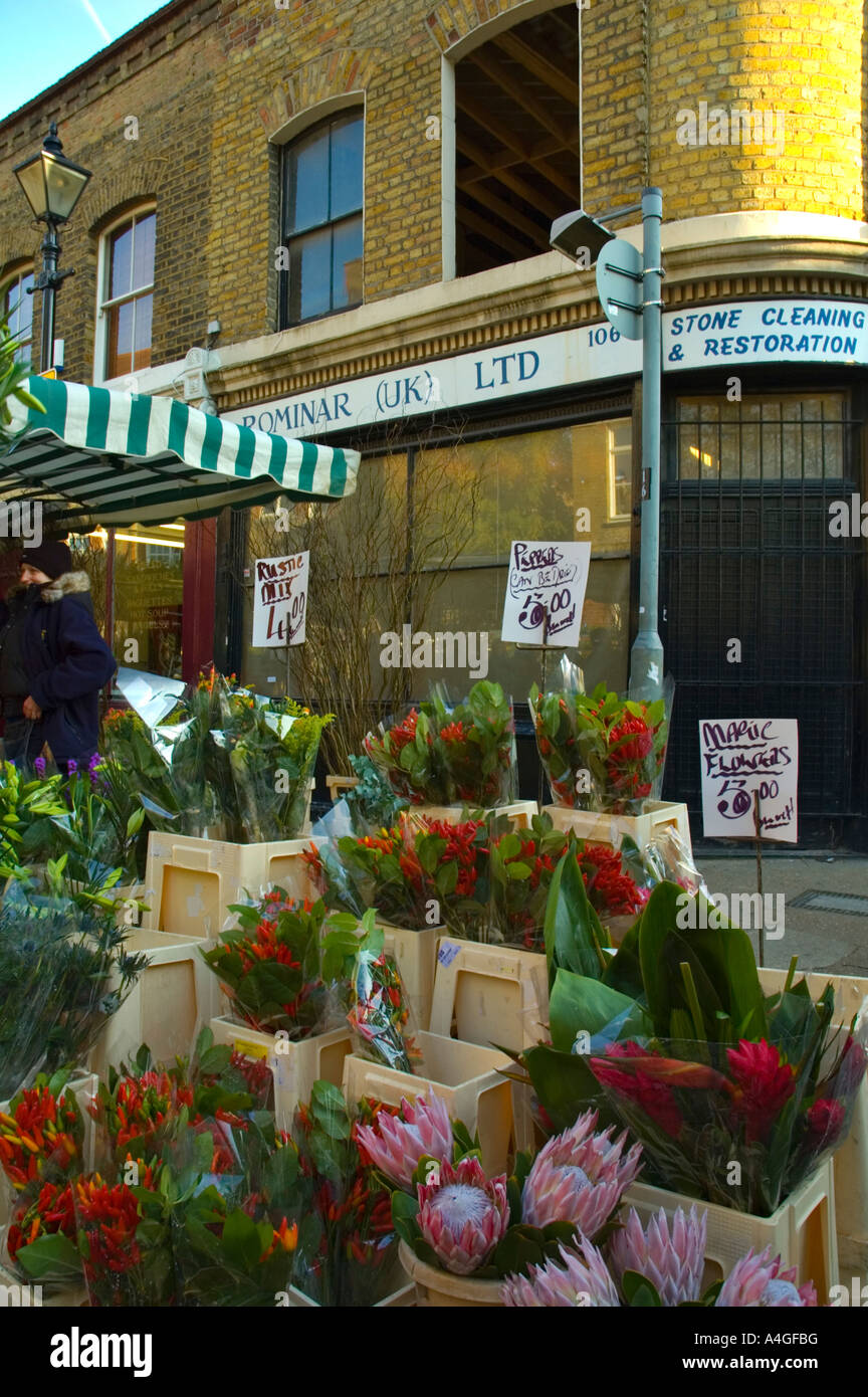 Columbia Road flower market in Shoreditch East End of London England UK ...