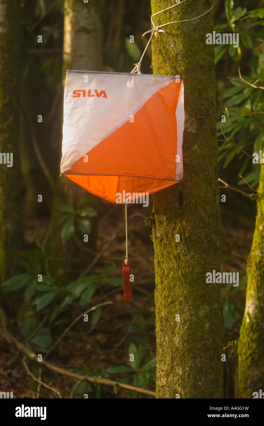 Orienteering punch Gartmore House Scotland Stock Photo - Alamy