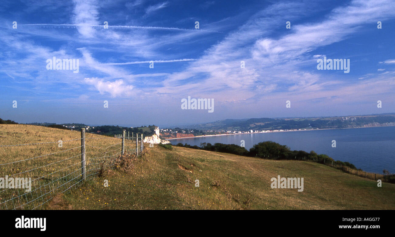 Beer head devon hi-res stock photography and images - Alamy