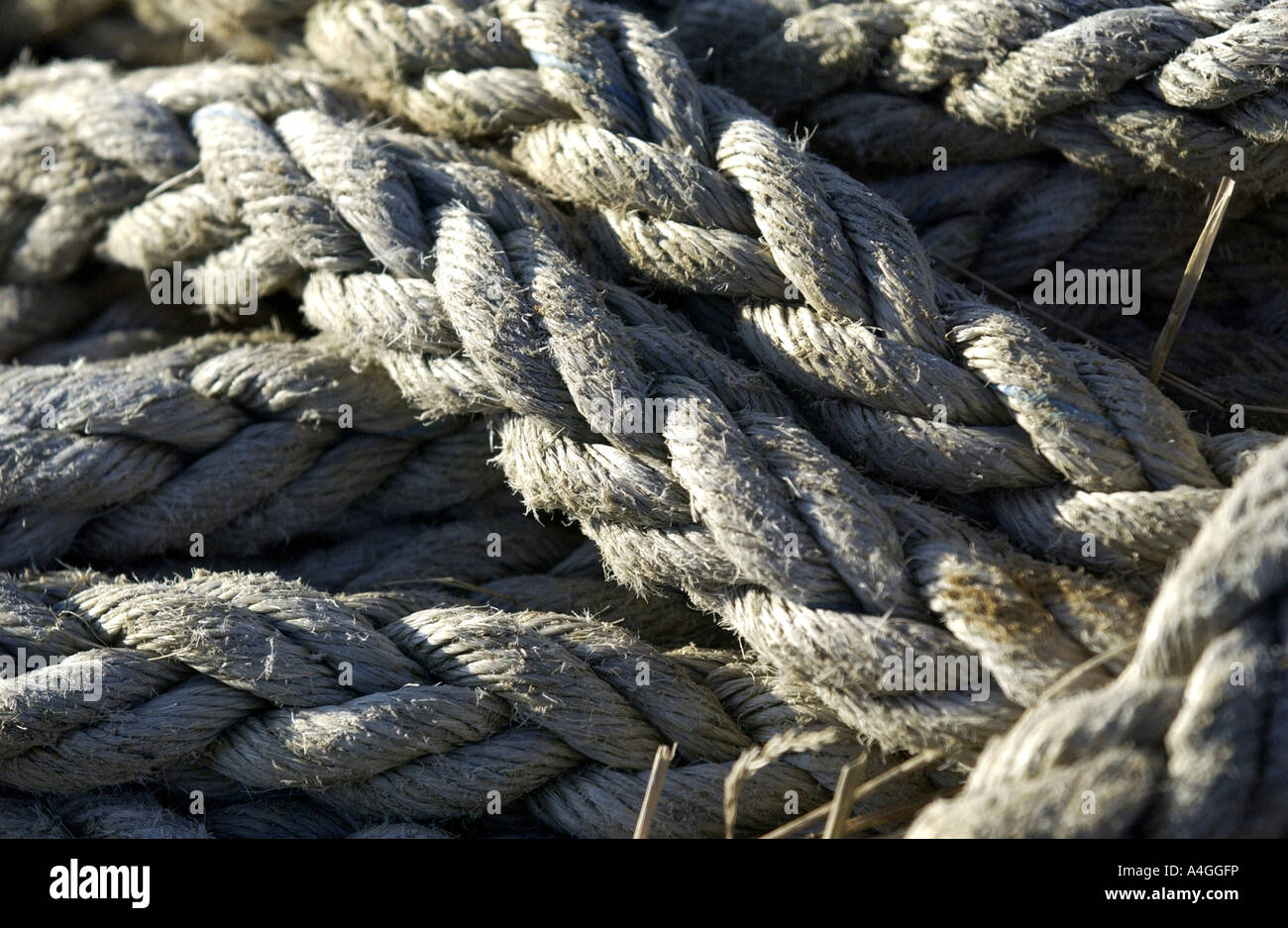 Colied hi-res stock photography and images - Alamy