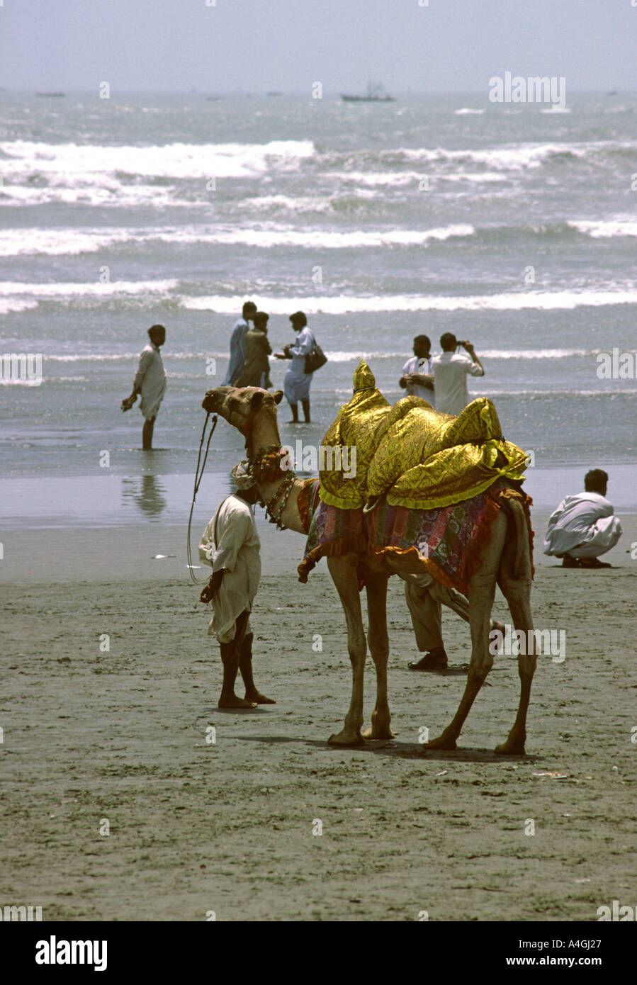 Pakistan Sind Karachi camel and handler on Clifton Beach Stock Photo ...