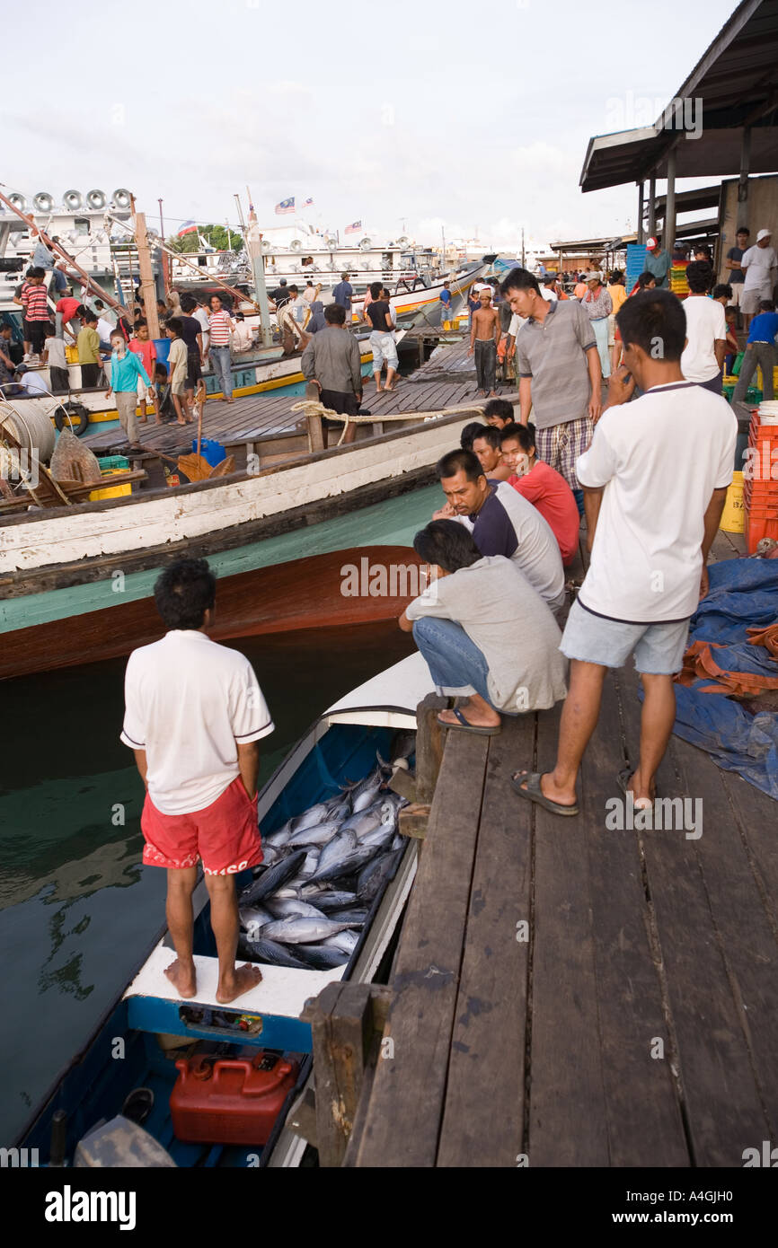 Malaysia Borneo Sabah Semporna harbour unloading fishing boats at quay ...