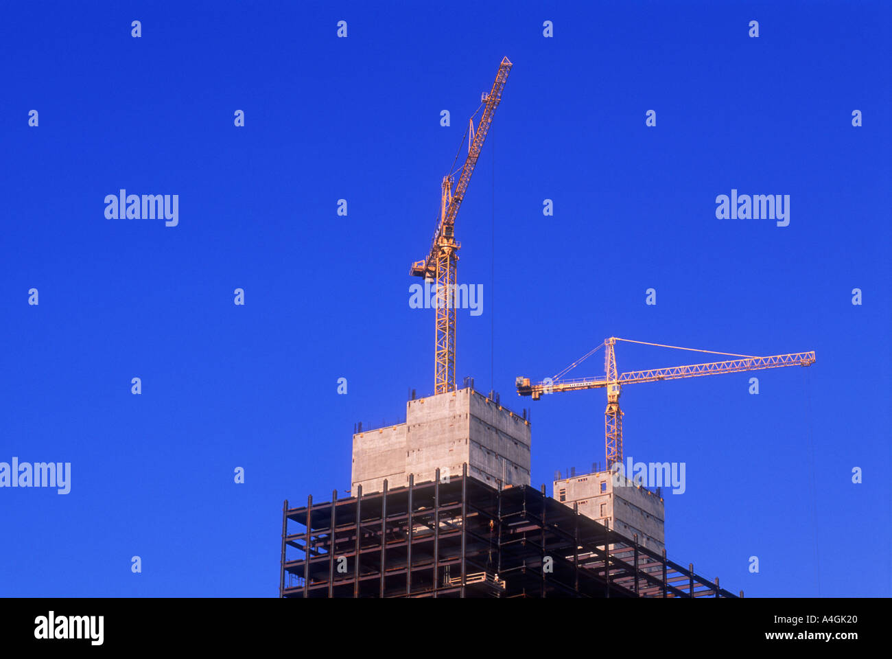 Construction Cranes on top of High Rise Building Stock Photo - Alamy