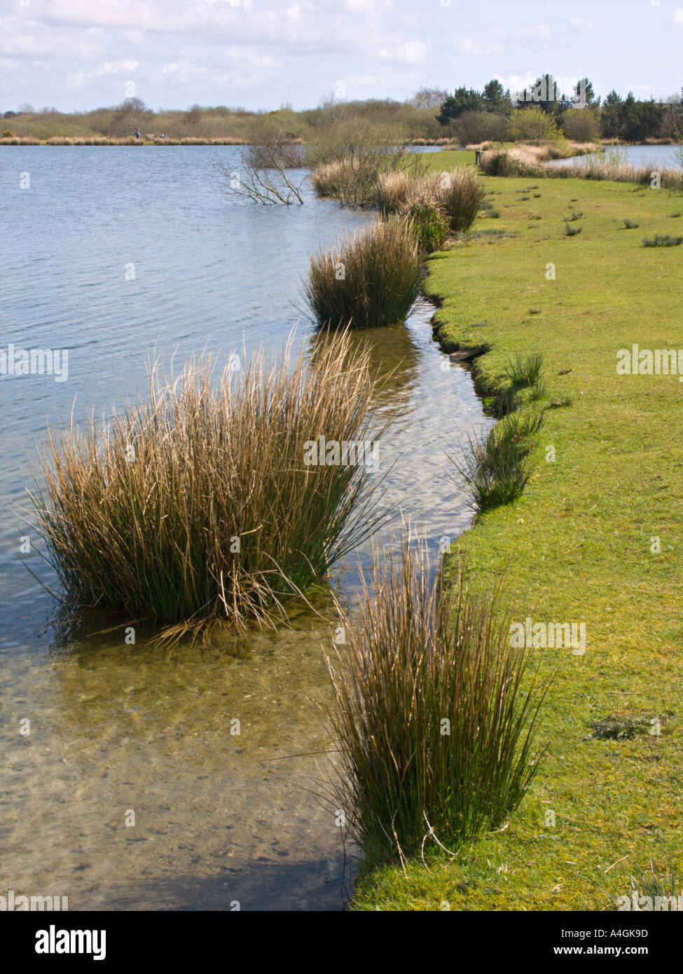 Cornish china clay pit hi-res stock photography and images - Alamy