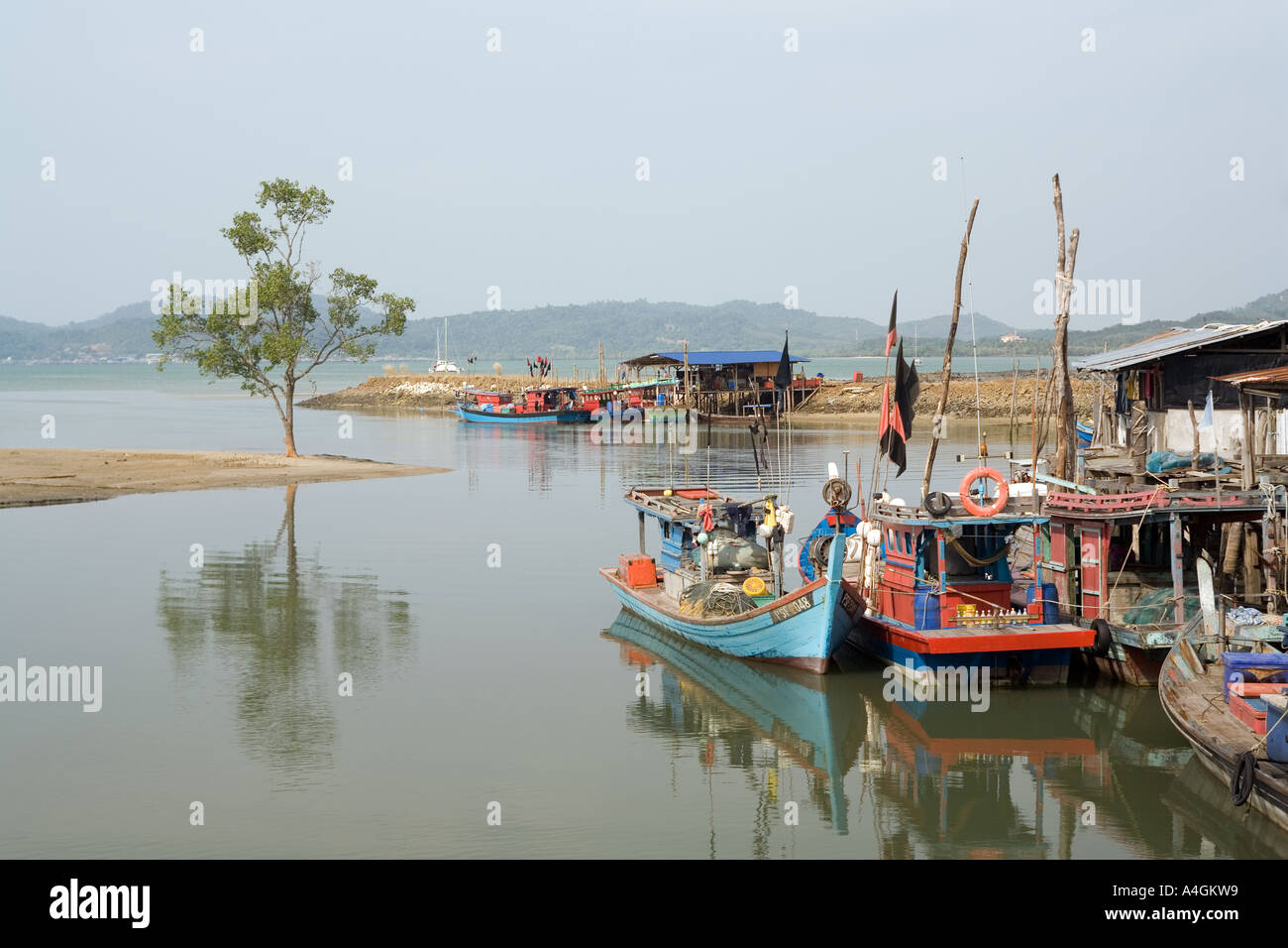 Langkawi malaysian asia fish hi-res stock photography and images - Alamy