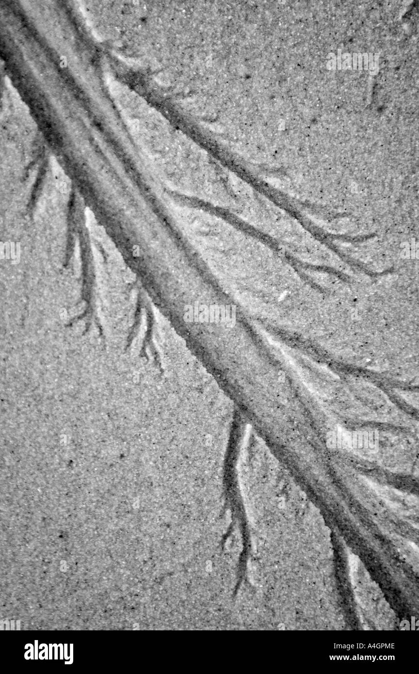 Drainage rivulets hi-res stock photography and images - Alamy