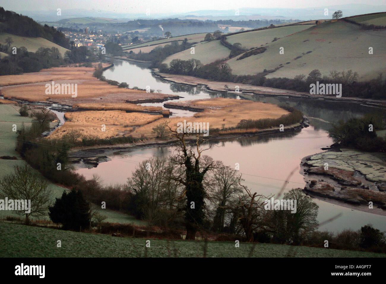 The River Dart below Totnes in Devon at dawn Stock Photo - Alamy
