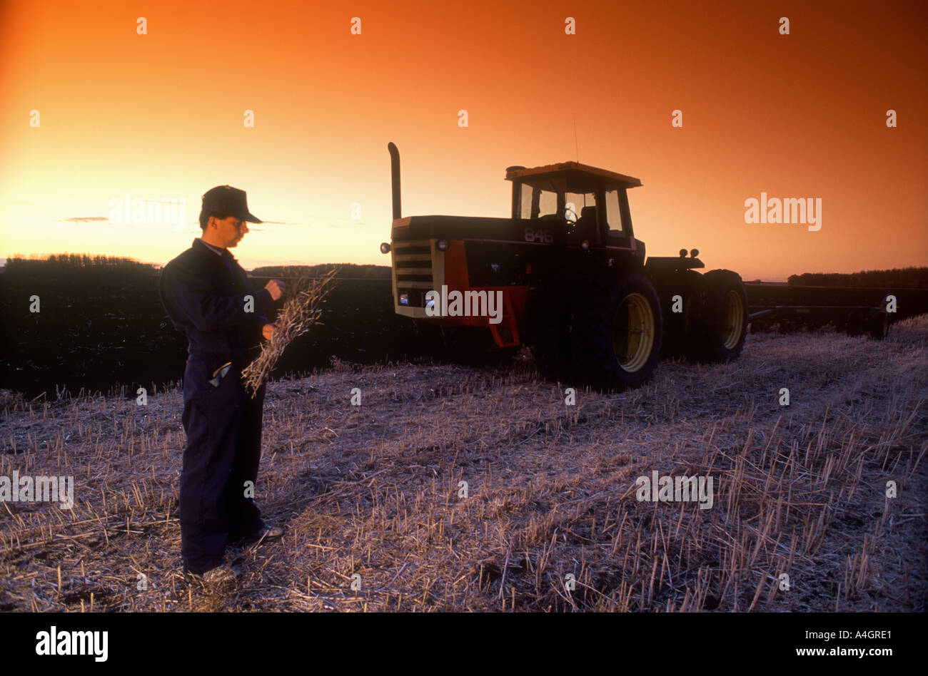Farmer in Field at Dusk Stock Photo - Alamy
