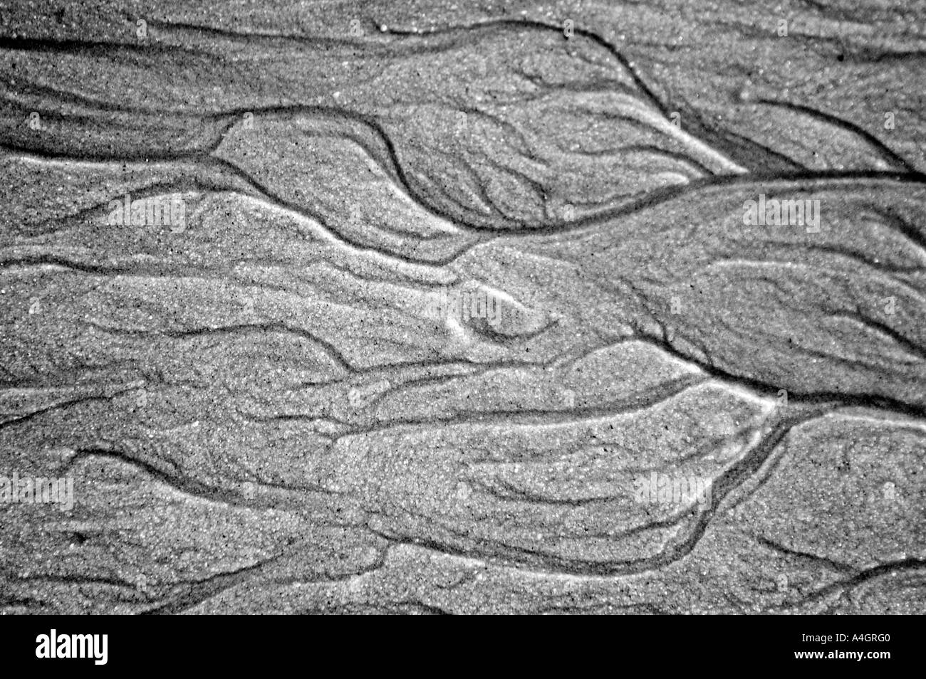 Tiny rivulets in sand on a beach Stock Photo - Alamy