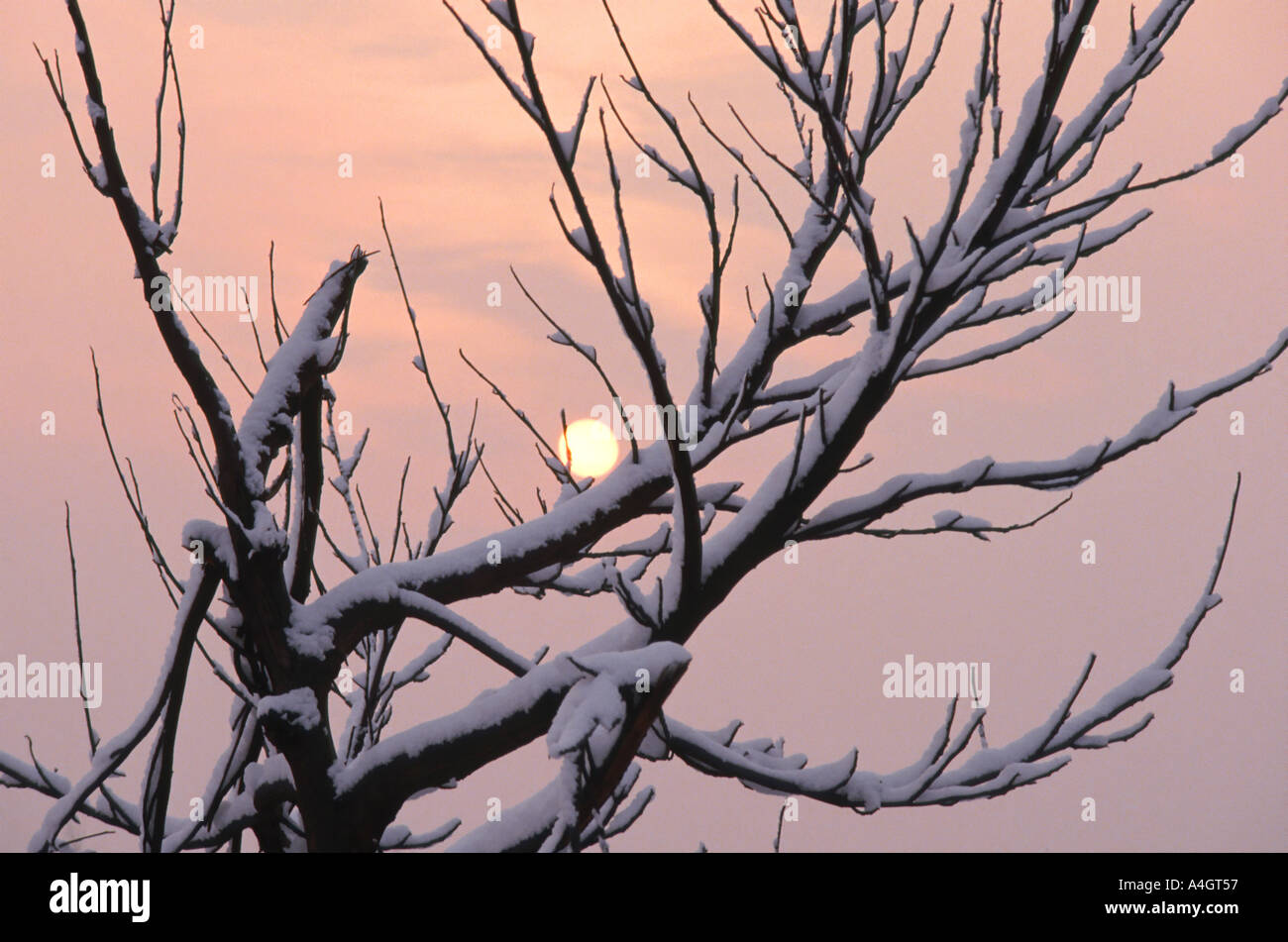 Watery setting hi-res stock photography and images - Alamy