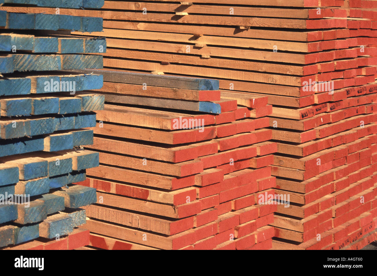 Stacks of sawn softwood construction timber in builders merchants yard ...