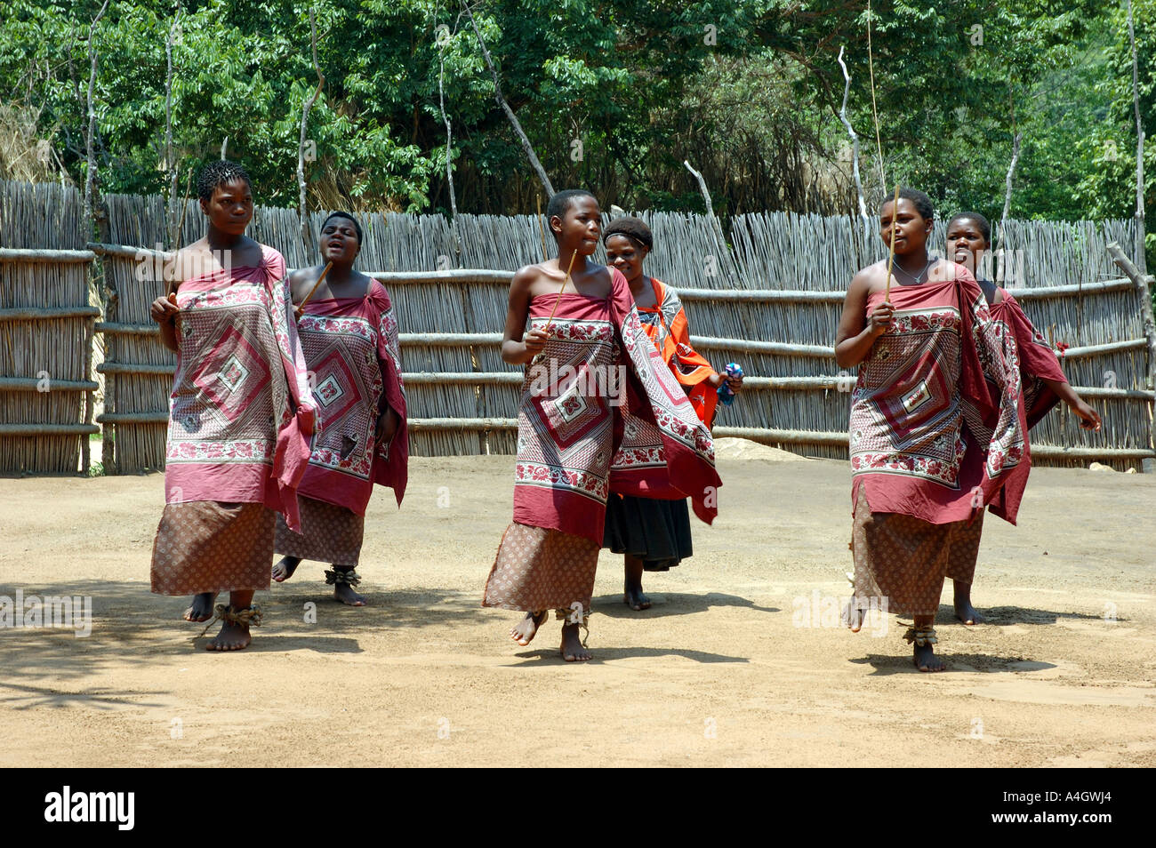 Female Swazi Dancers, Swaziland Cultural Village, Mbabane Stock Photo ...