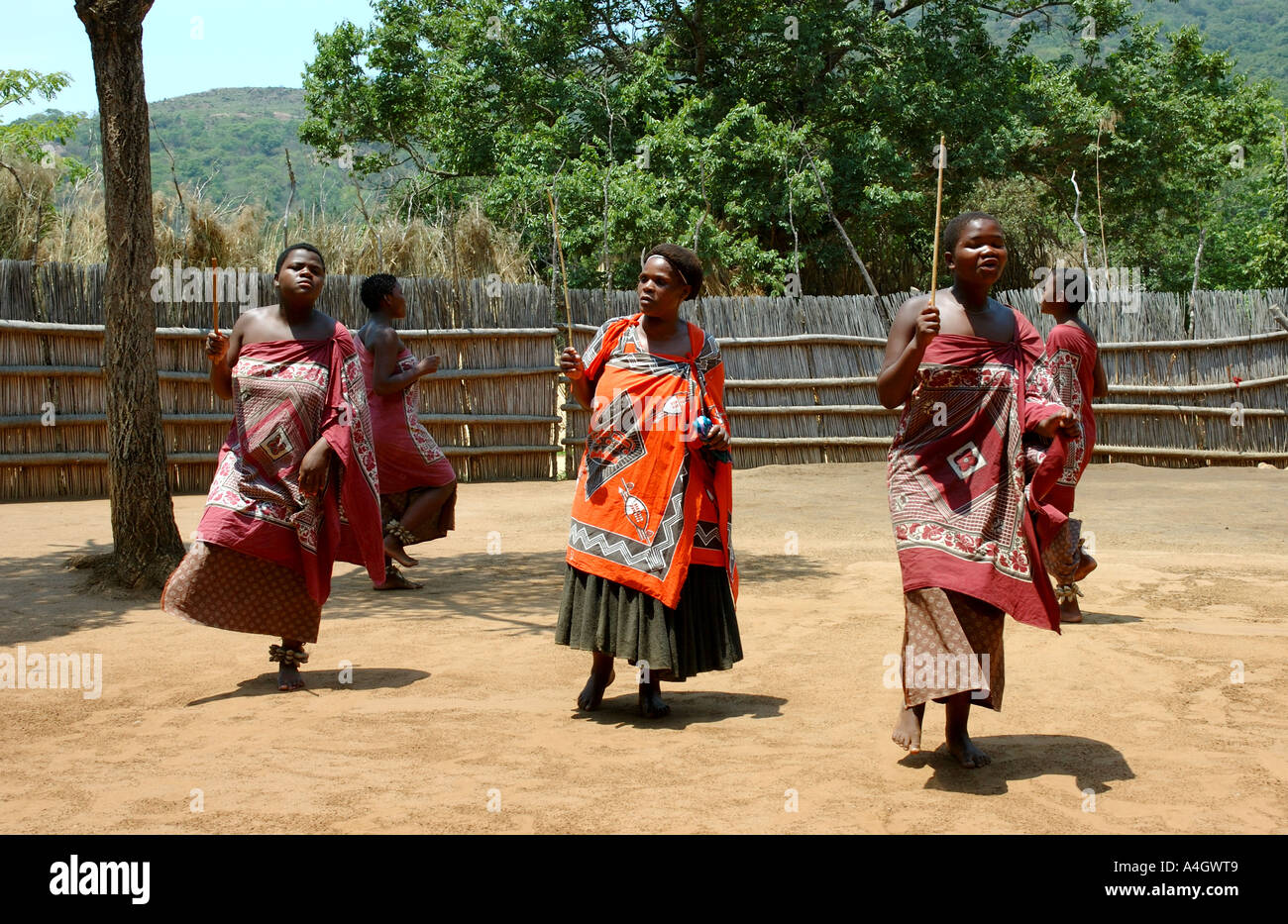 Female Swazi Dancers, Swaziland Cultural Village, Mbabane Stock Photo ...