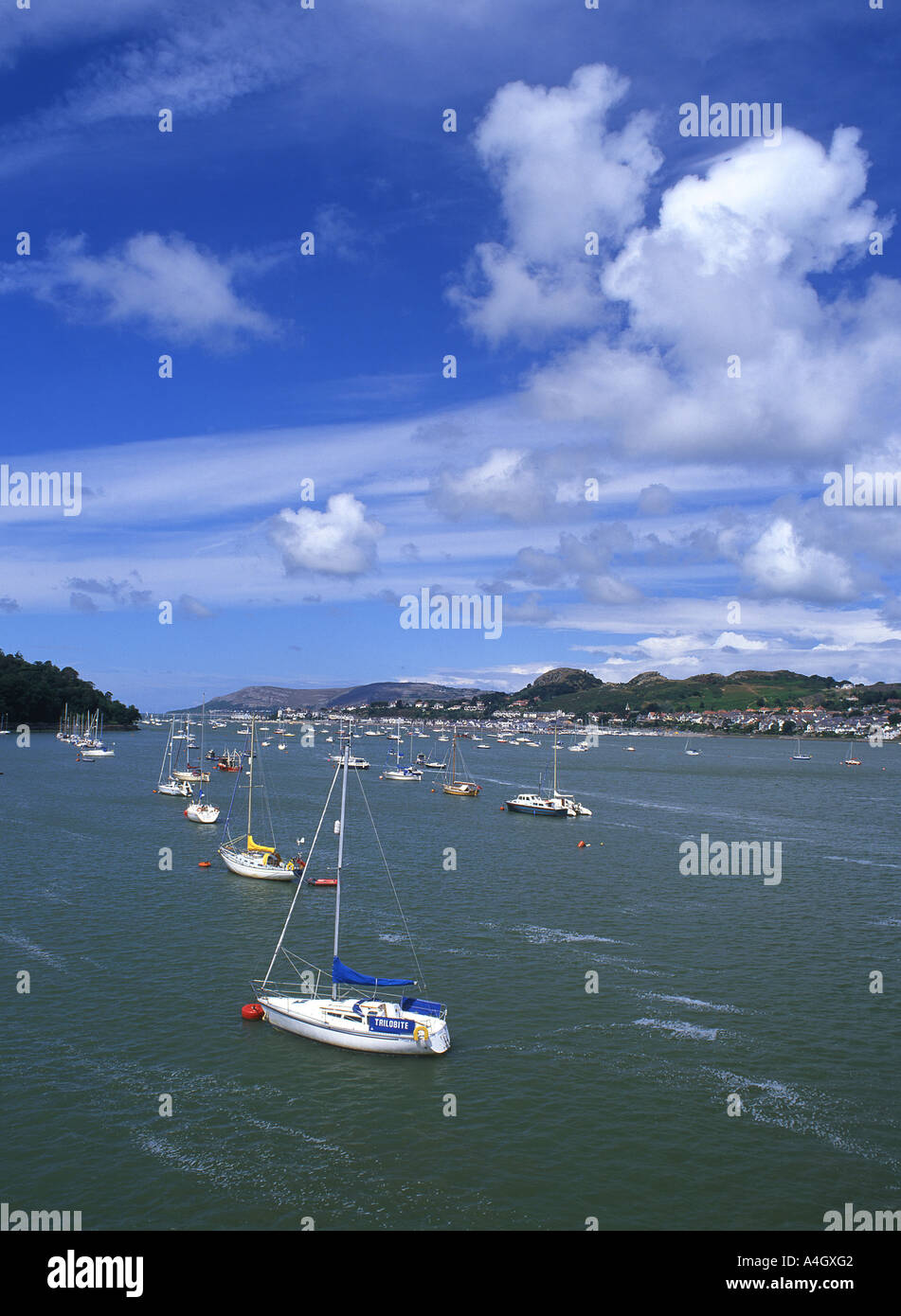 Conwy river estuary View from Conwy bridge towards Deganwy and Great ...