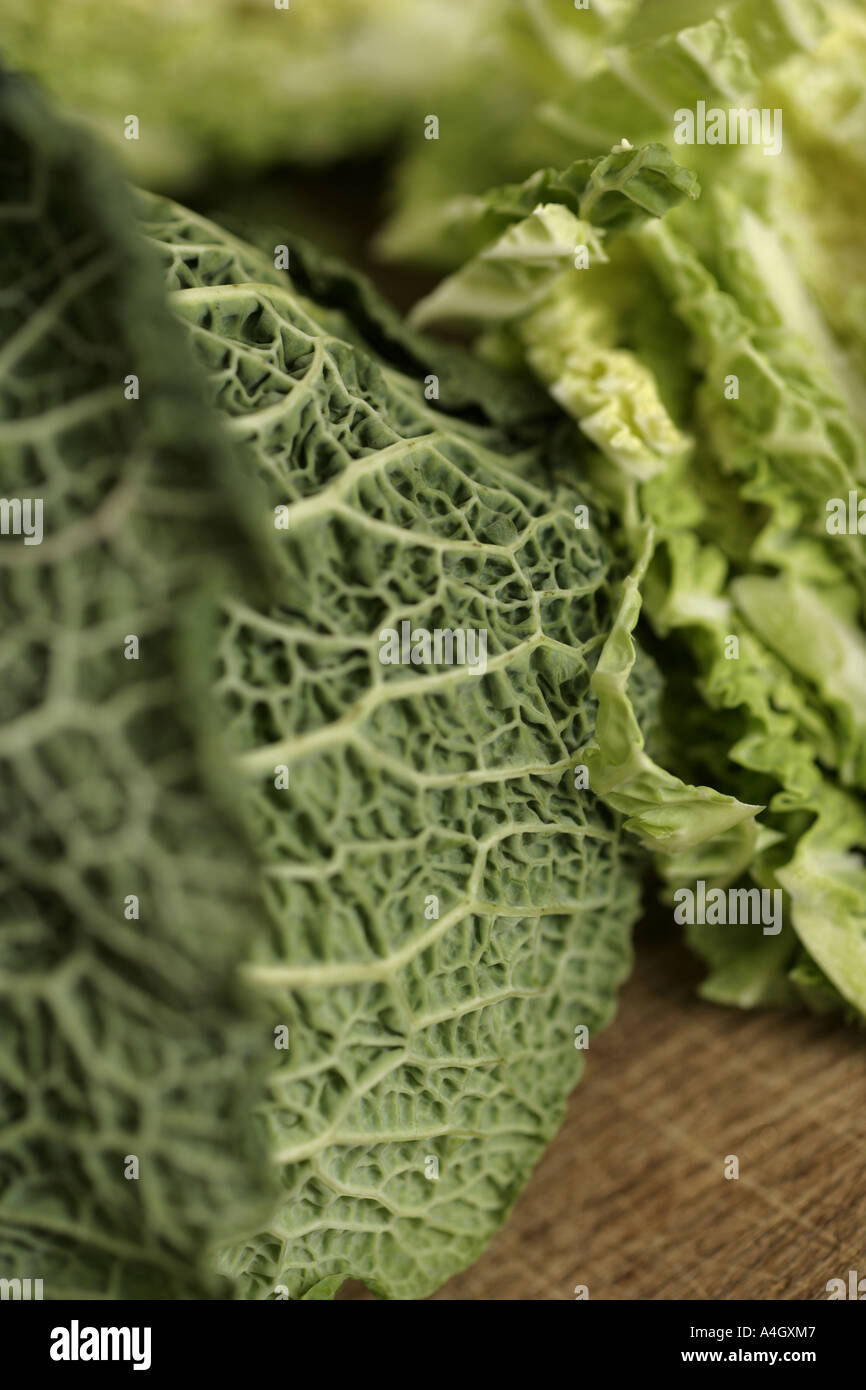 Basics food groups hi-res stock photography and images - Alamy