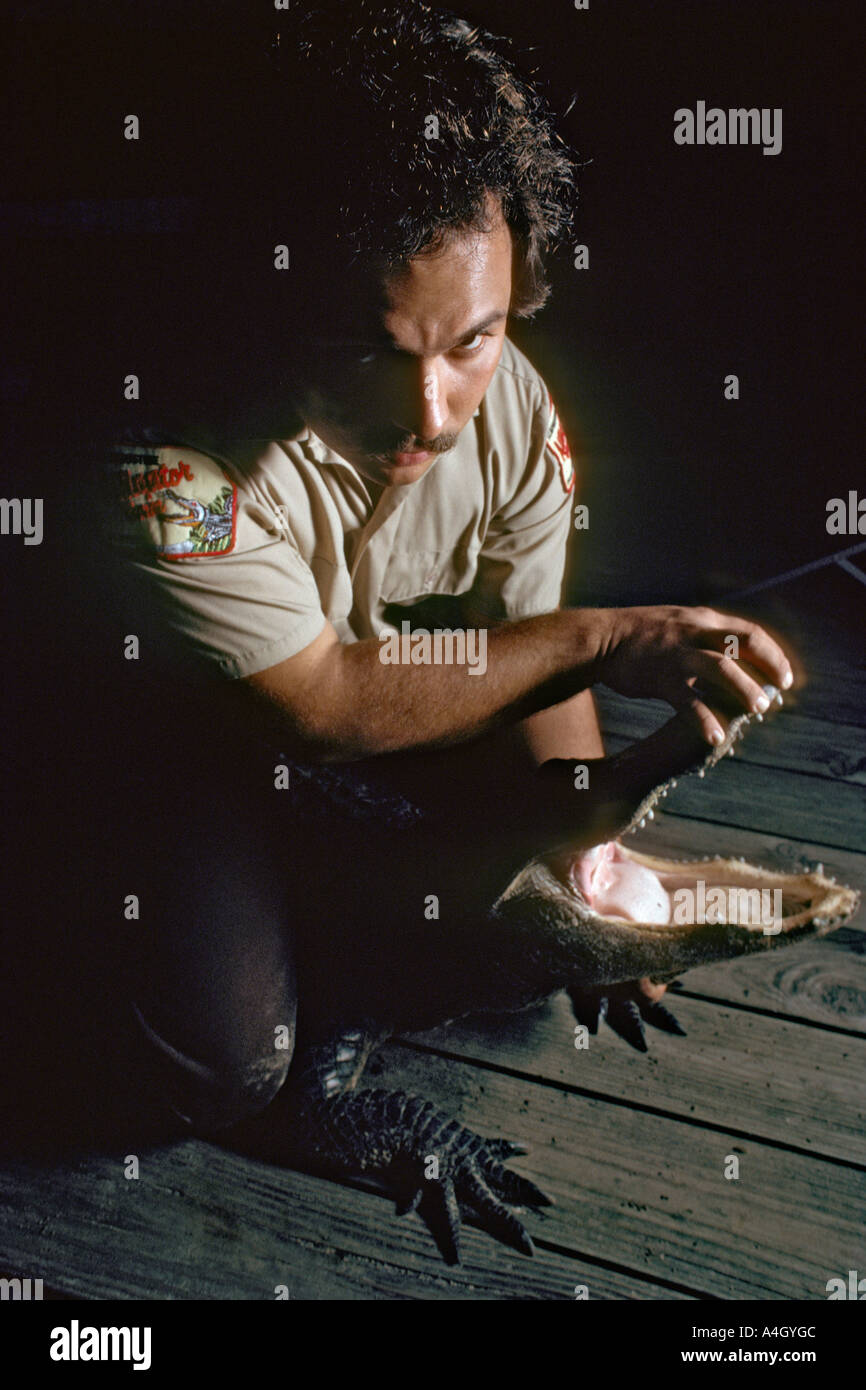 Animal handler holding alligator at the St Augustine Alligator farm in ...