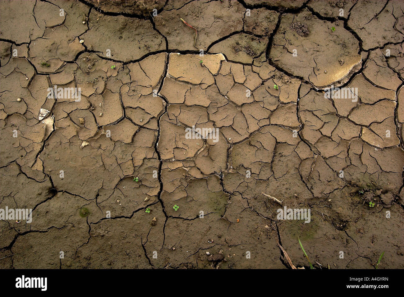 Dry, cracked land Stock Photo - Alamy