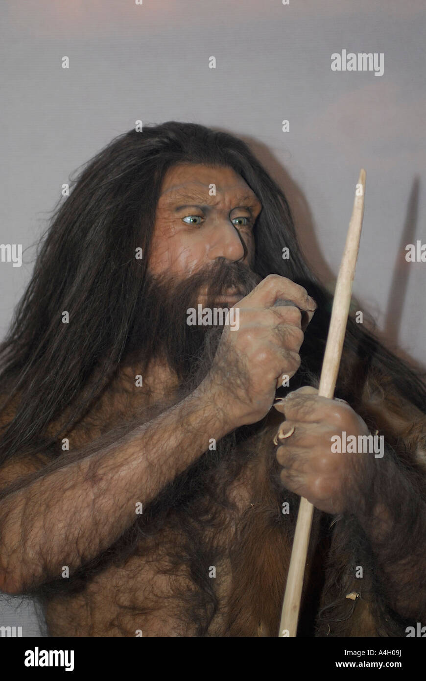 Homo Neanderthalis 200 000 300 000 years ago Europe and Western Asia ...