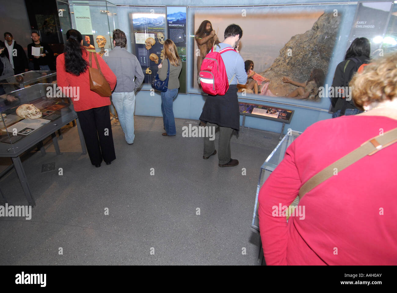 Offering the most comprehensive evidence of human evolution ever ...