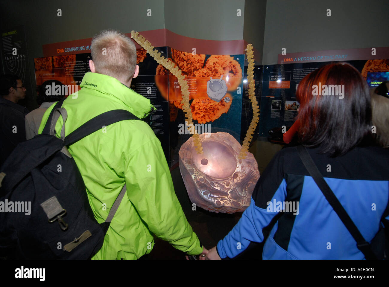 Offering the most comprehensive evidence of human evolution ever ...