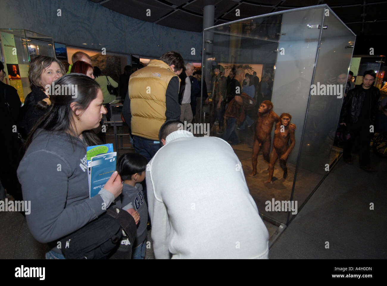 Offering the most comprehensive evidence of human evolution ever ...