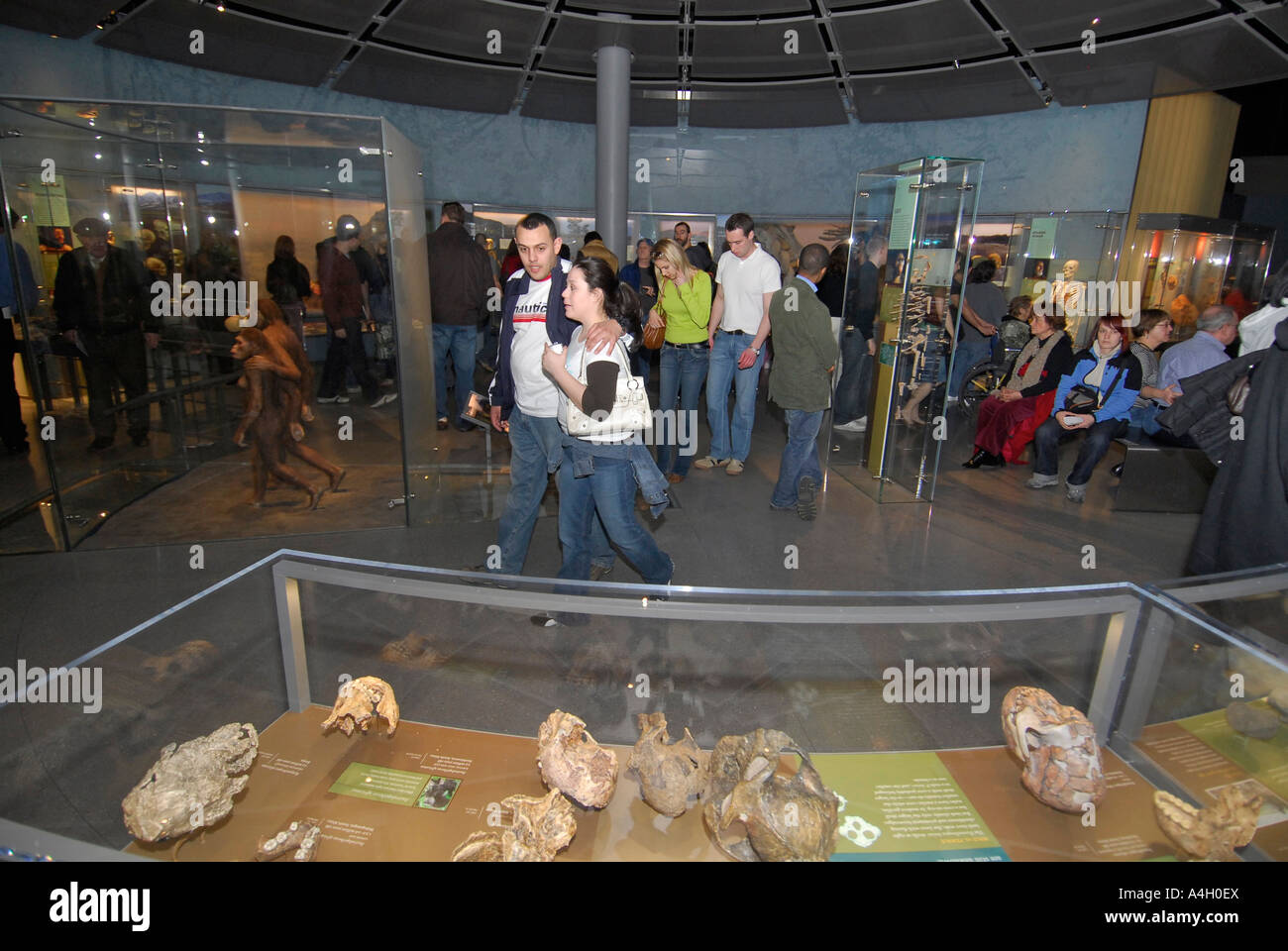 Offering the most comprehensive evidence of human evolution ever ...