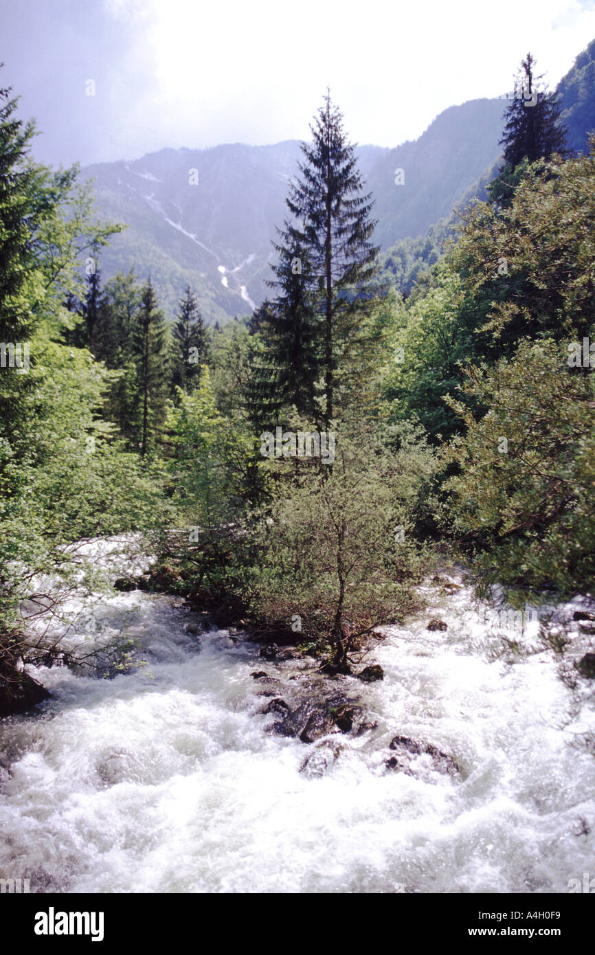 looking down on Savica river rapids with forest and mountains in ...