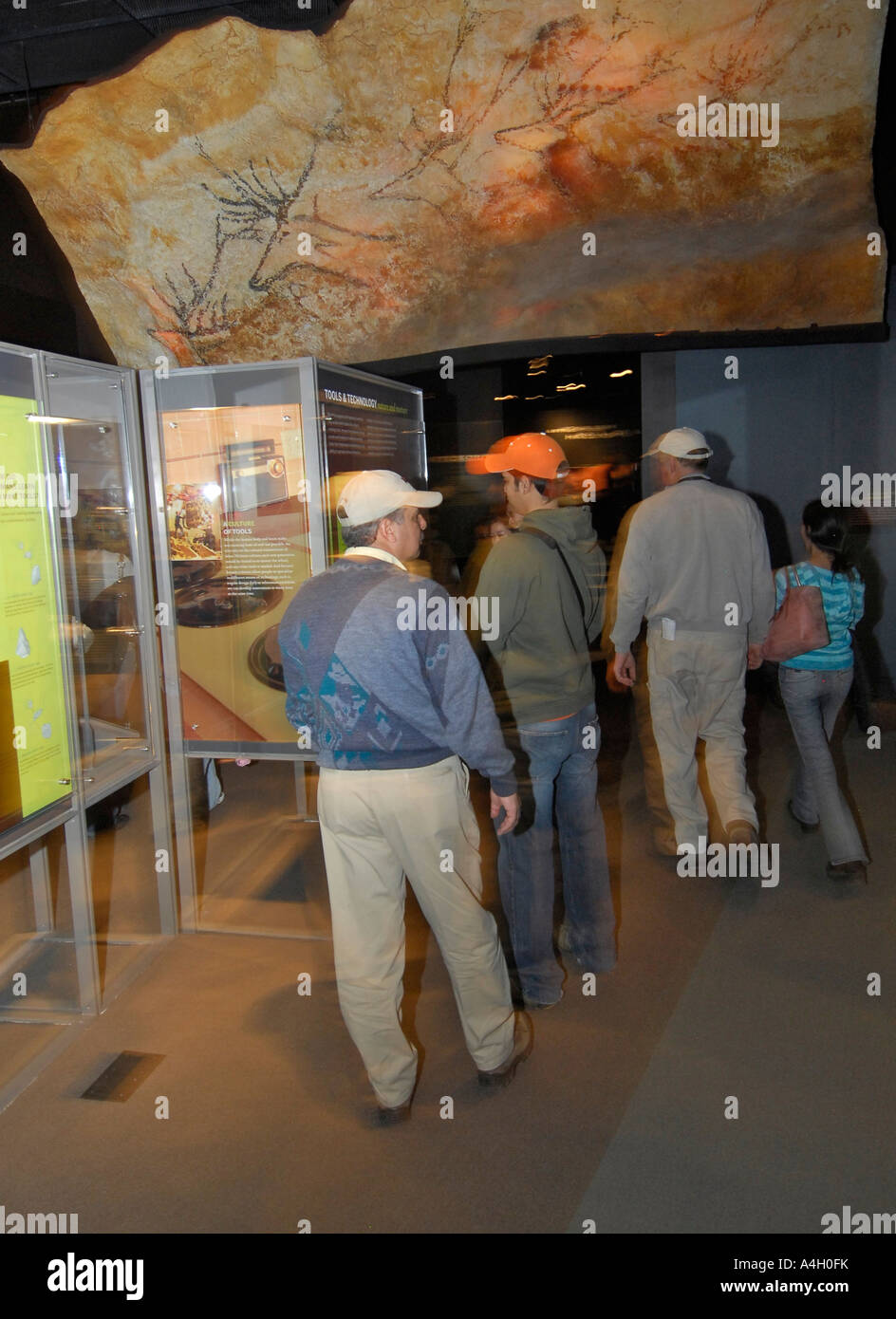 Offering the most comprehensive evidence of human evolution ever ...