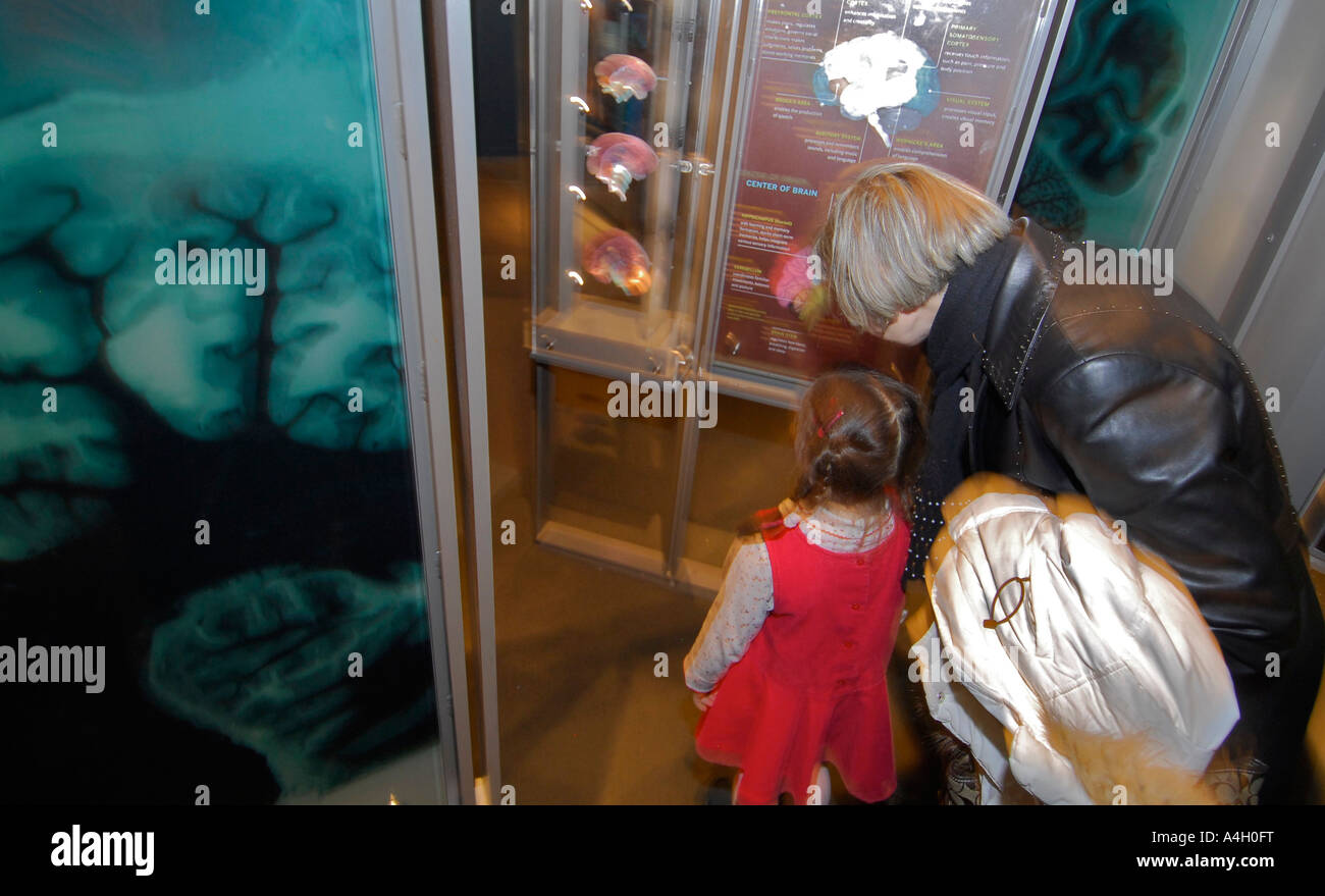 Offering the most comprehensive evidence of human evolution ever ...