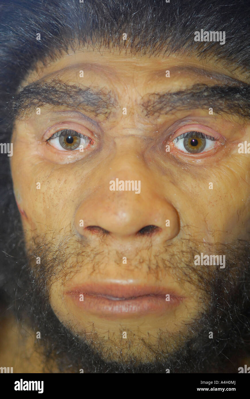 Shows the process how body features are recreated using art techniques ...