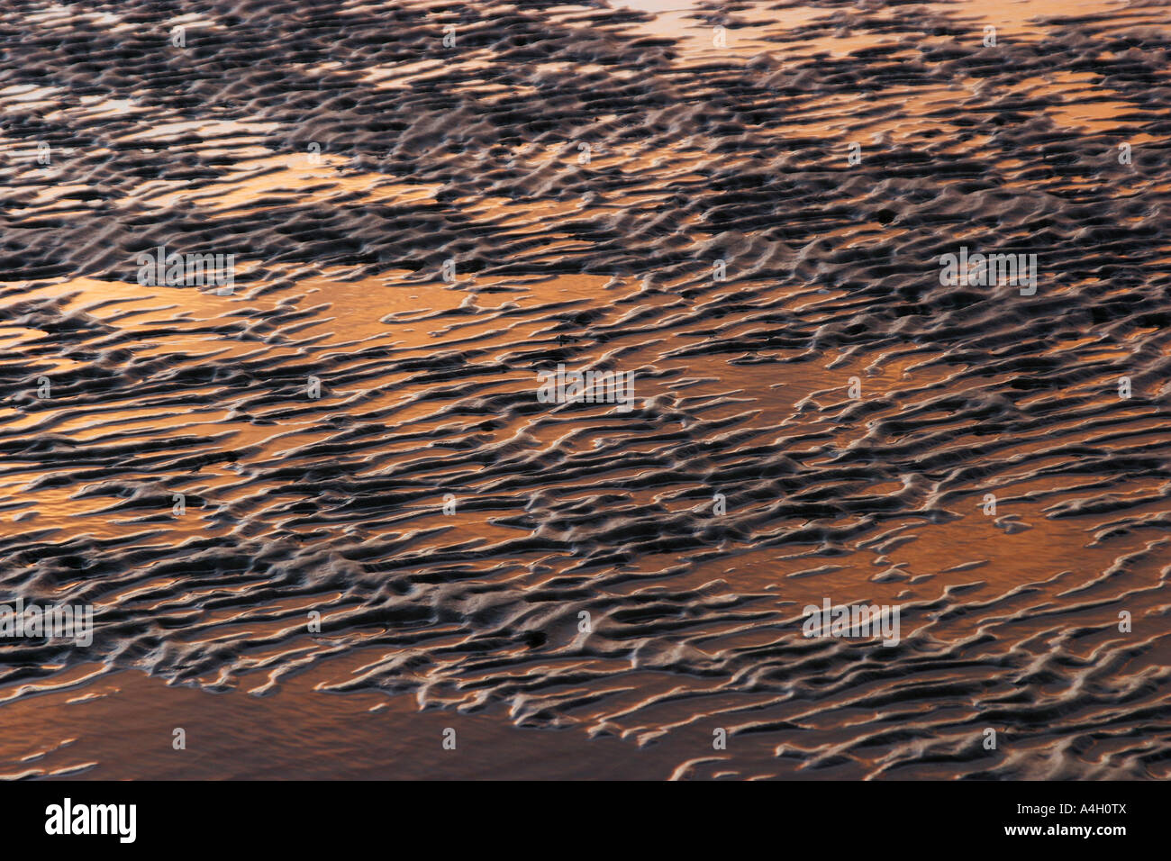 Sheen on water hi-res stock photography and images - Alamy
