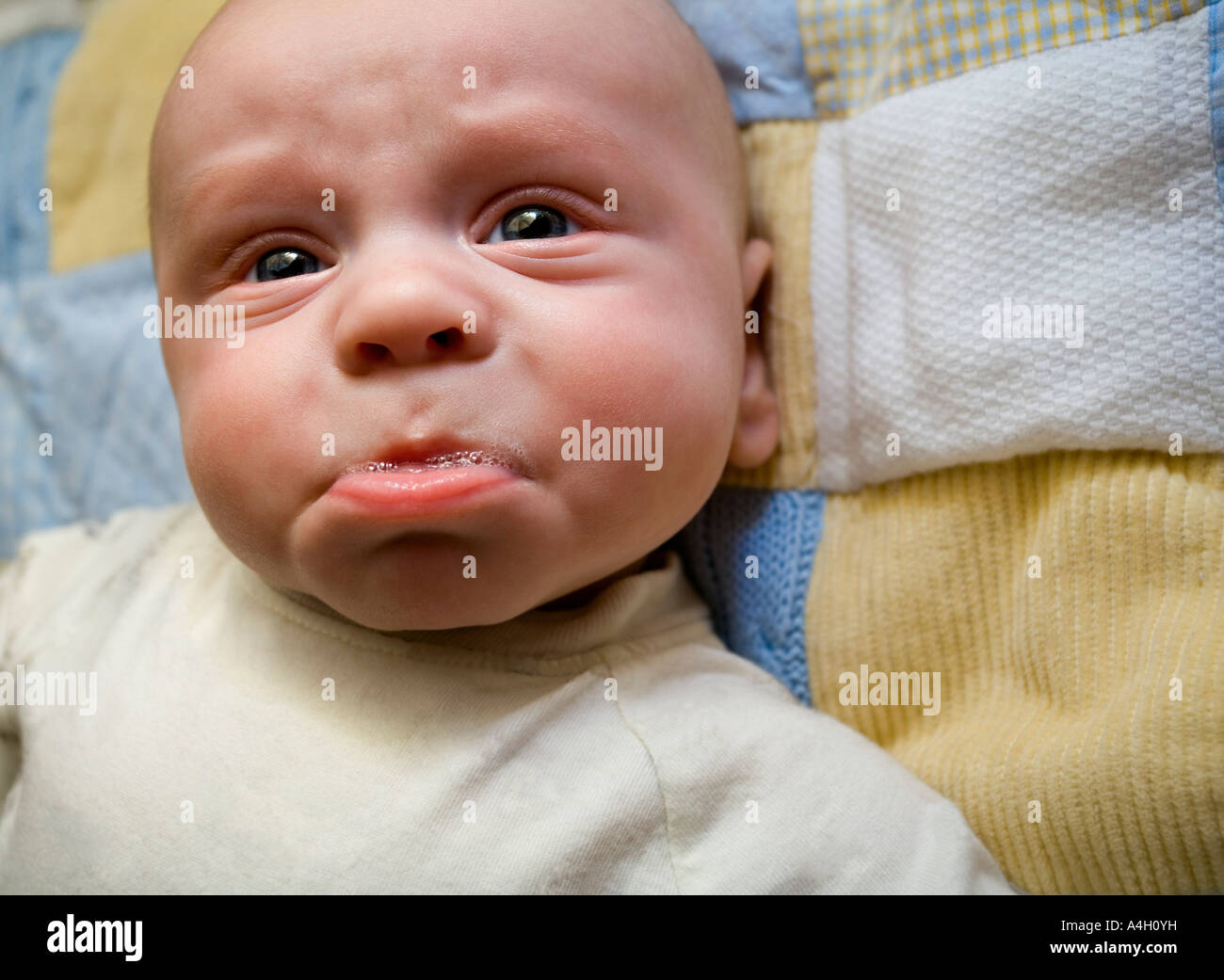 Baby steve hi-res stock photography and images - Alamy