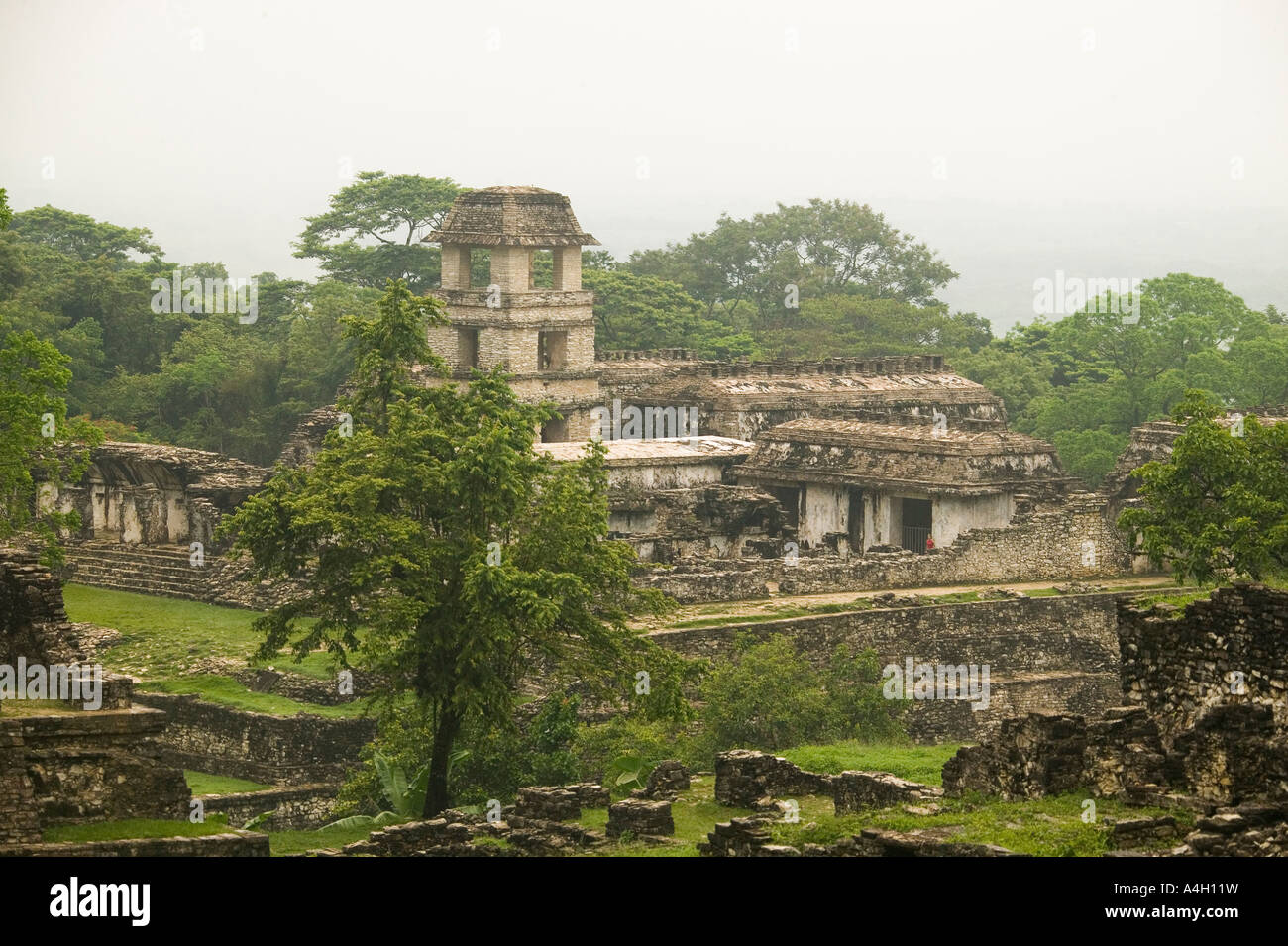 Palenque, Maya archeological excavation, El Palacio, Palenque, Chiapas ...