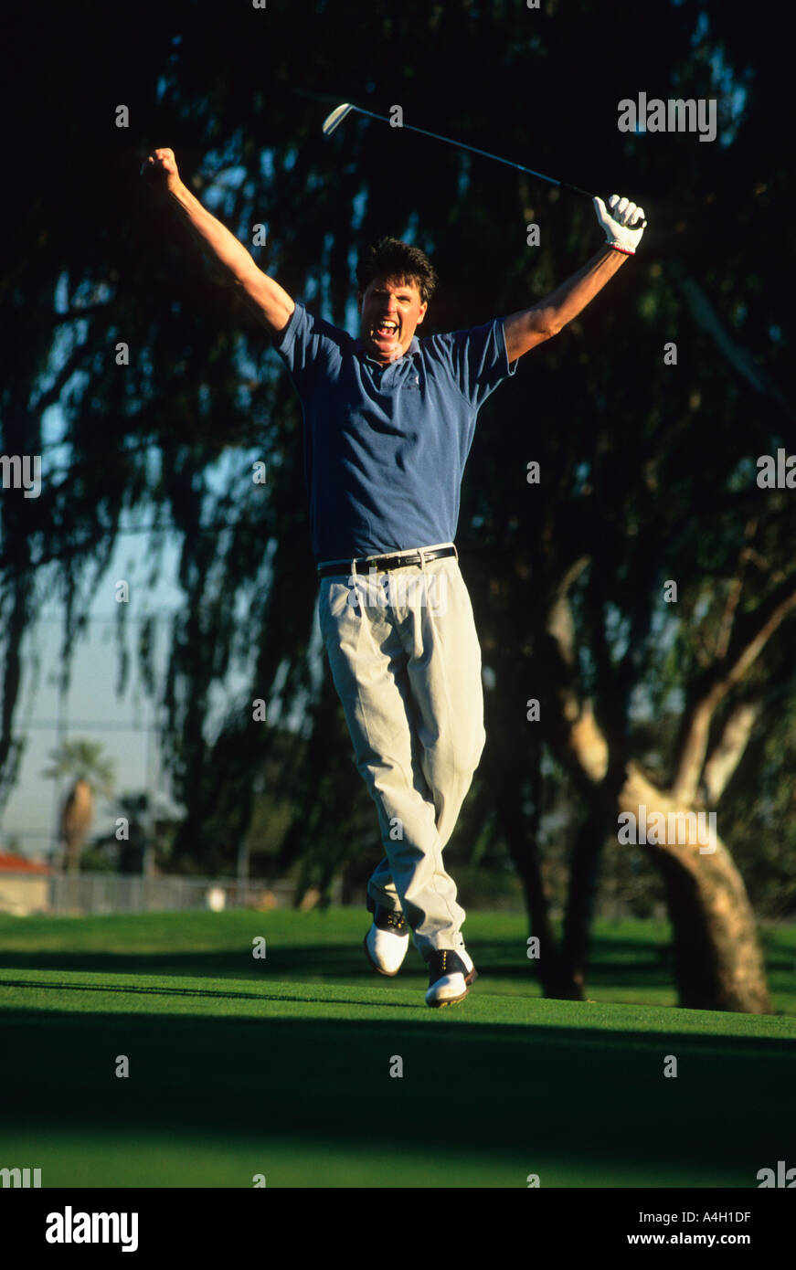 Golfer celebrating a winning putt shot Stock Photo - Alamy
