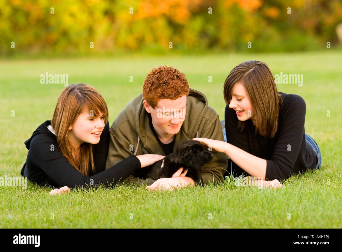 Teenagers petting a dog Stock Photo - Alamy