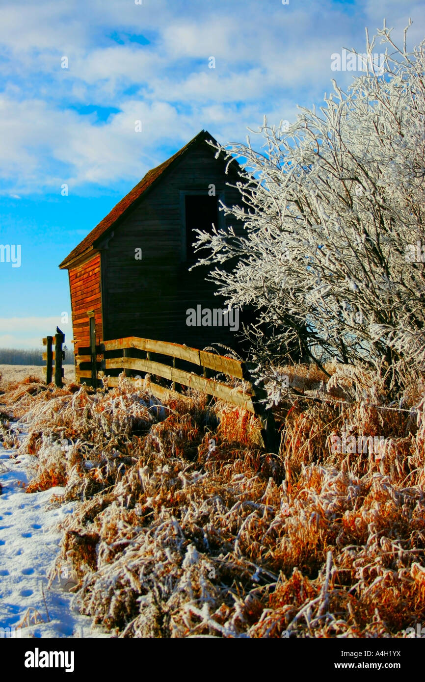 Clm0049 hi-res stock photography and images - Alamy