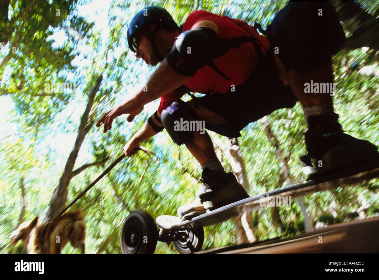 Mountain boarding SPORTS Stock Photo - Alamy
