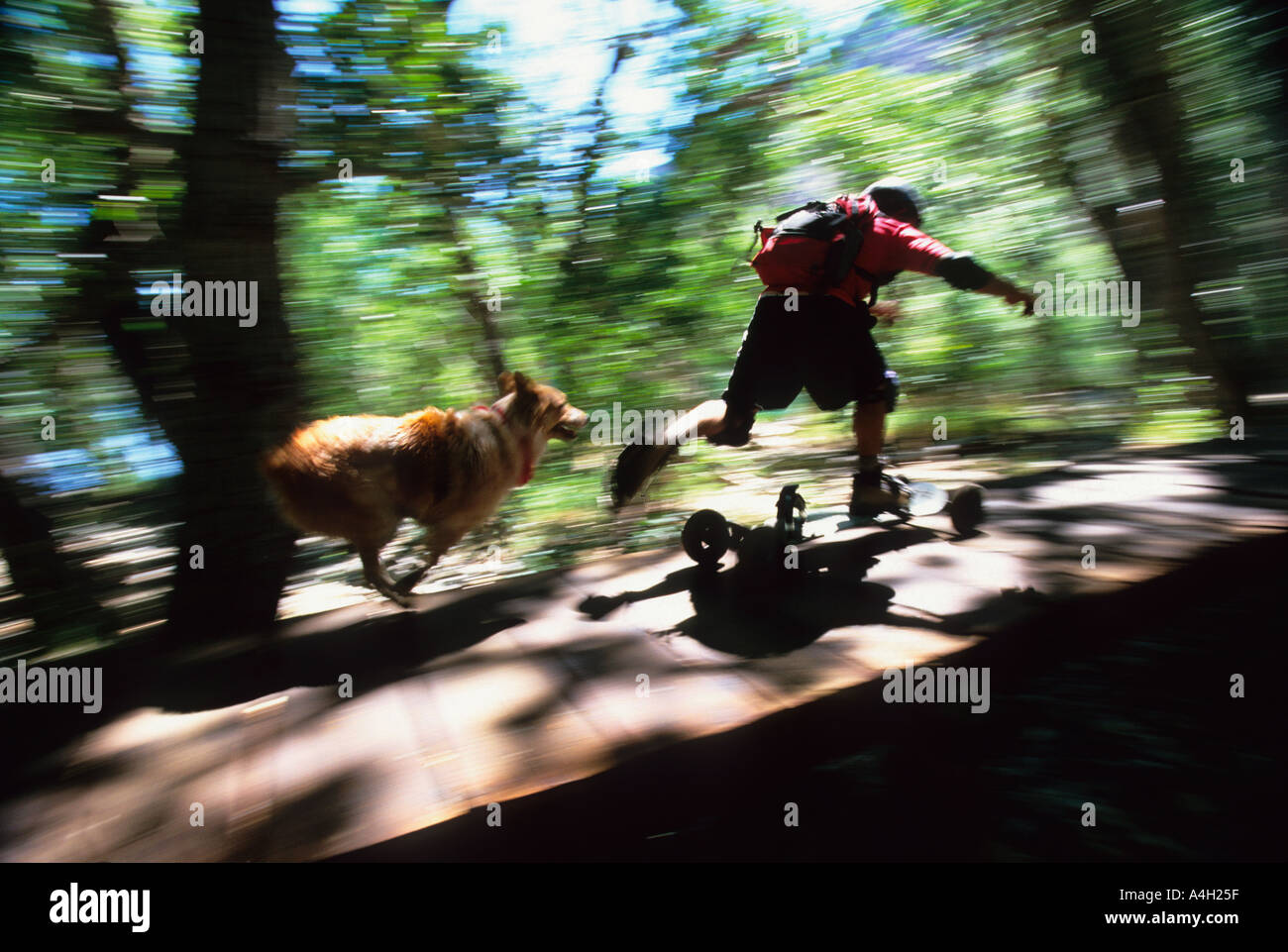 Mountain boarding SPORTS Stock Photo - Alamy