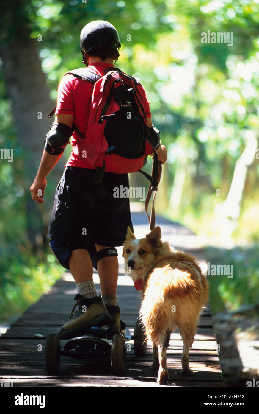 Mountain boarding SPORTS Stock Photo - Alamy