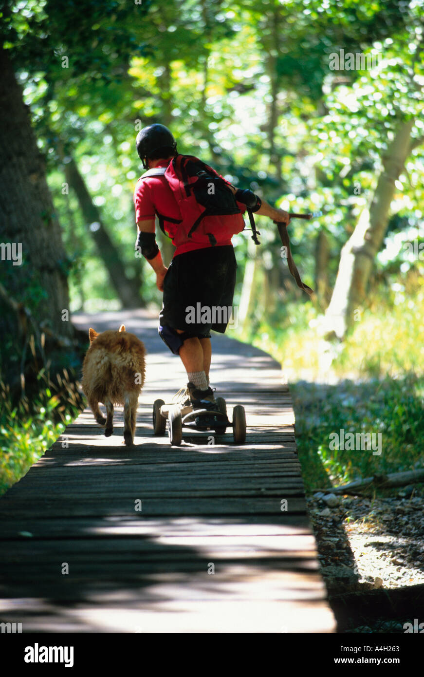 Mountain boarding SPORTS Stock Photo - Alamy