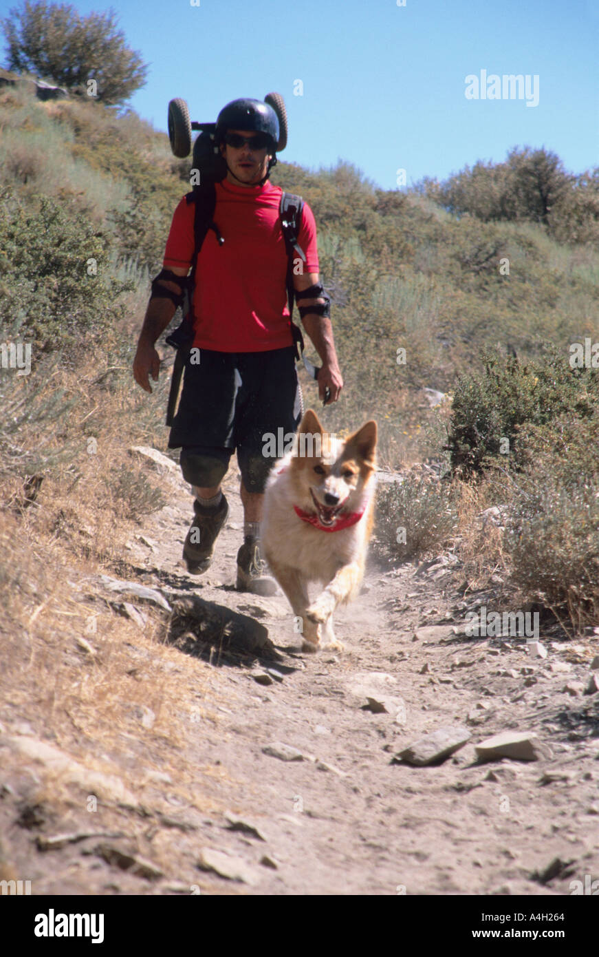Mountain boarding SPORTS Stock Photo - Alamy