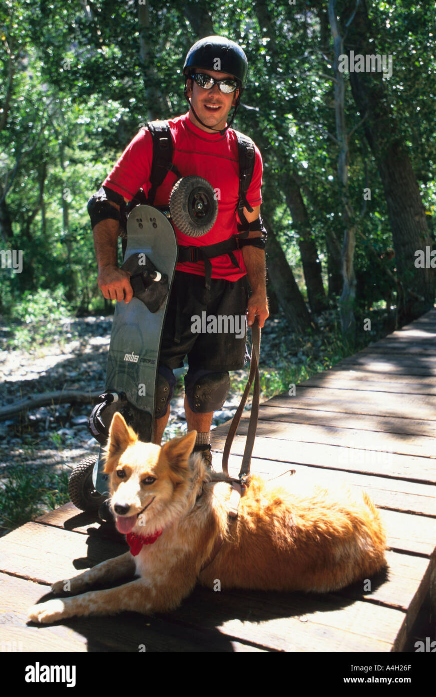 Mountain boarding SPORTS Stock Photo - Alamy